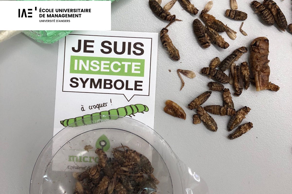 Consommation d'insectes : vers une évolution de nos pratiques ...